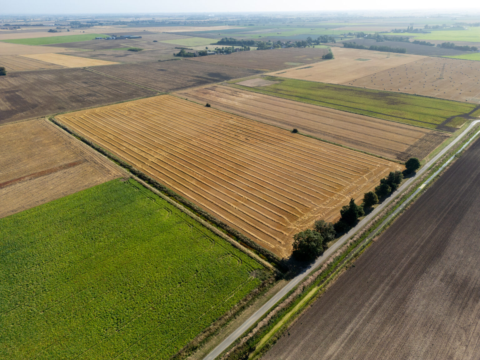 Battery Energy Storage | Flexible Battery Electricity | Fidra Energy